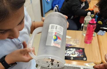 Harlem Dowling-West Side Center for Children & Family Services